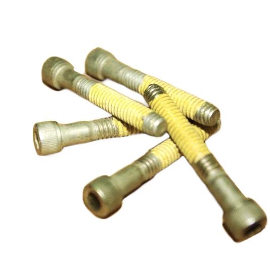 Port Hinge Screw